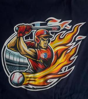 FDNY Baseball - FDNY BASEBALL STORE